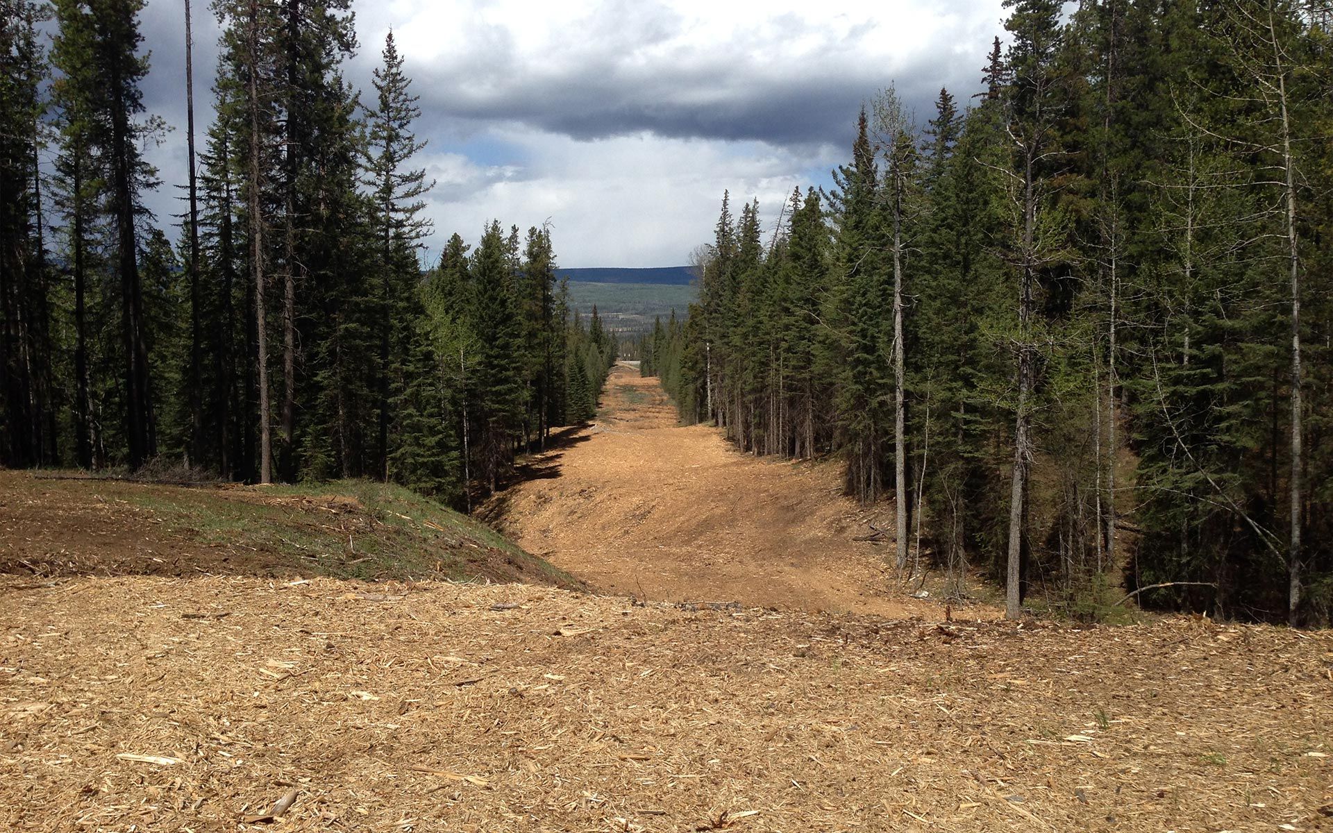 Oil & Gas Land Clearing Alberta | TREE EATER INC.